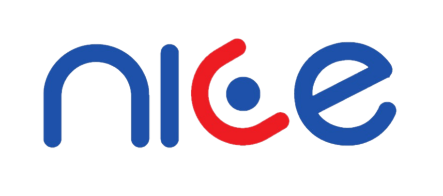 NICE – Novel Interdisciplinary Consulting Enterprise